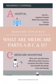 Medicare Part A B C D - Medicare Life Health - Medicare Parts Infographic